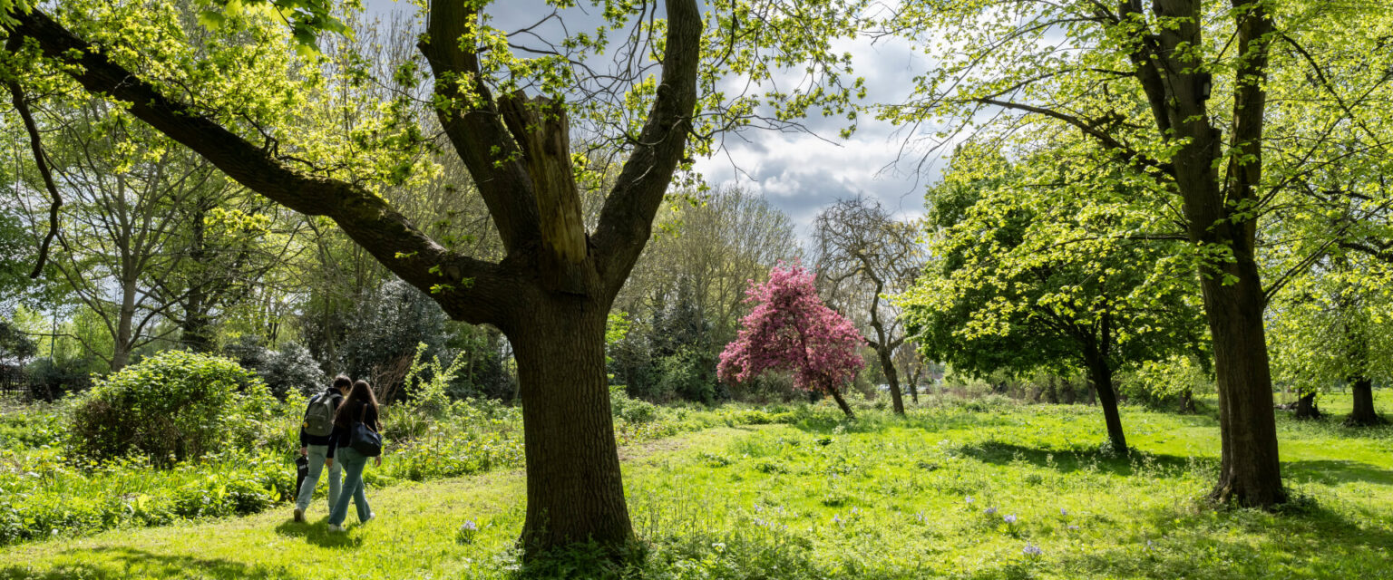 Home - Nature Towns and Cities