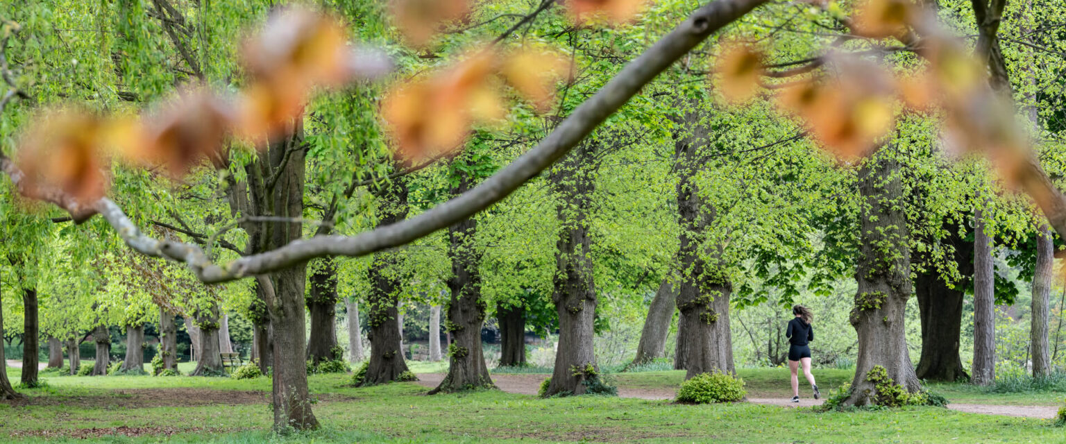 Grants - Nature Towns & Cities